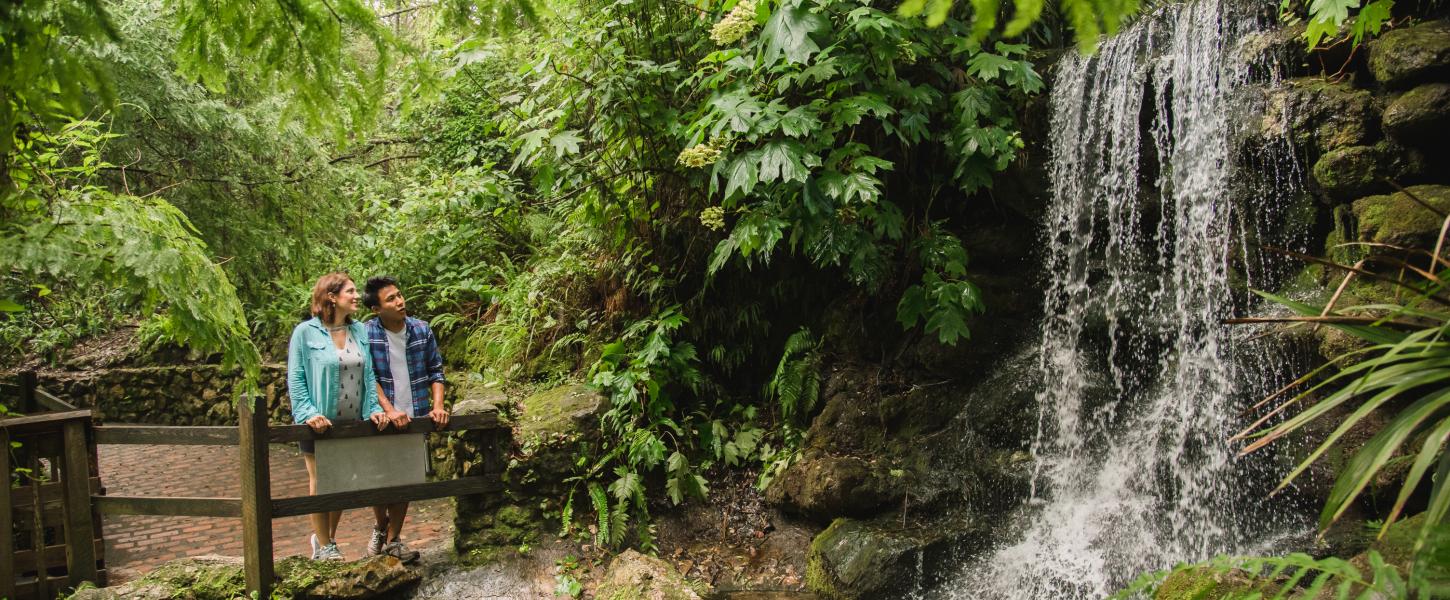 History Of Rainbow Springs Florida State Parks history-of-rainbow-springs-florida-state-parks